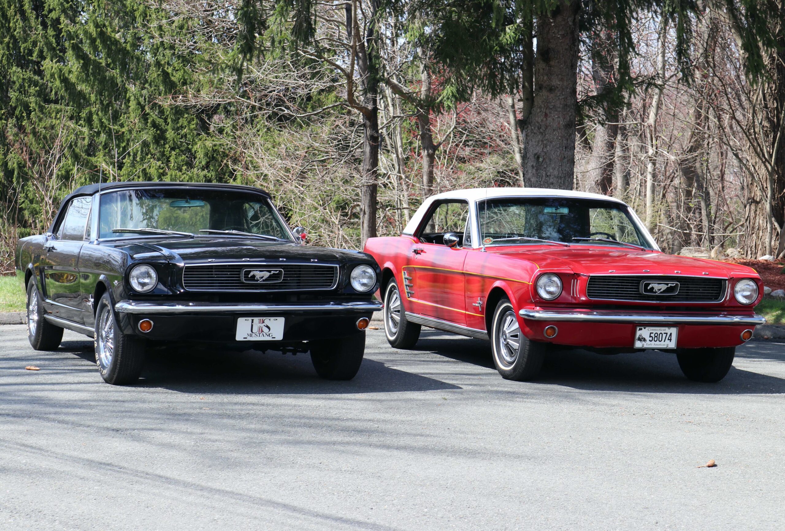 Two Mustang Owners Mark Iconic Ford Model's 60th Anniversary