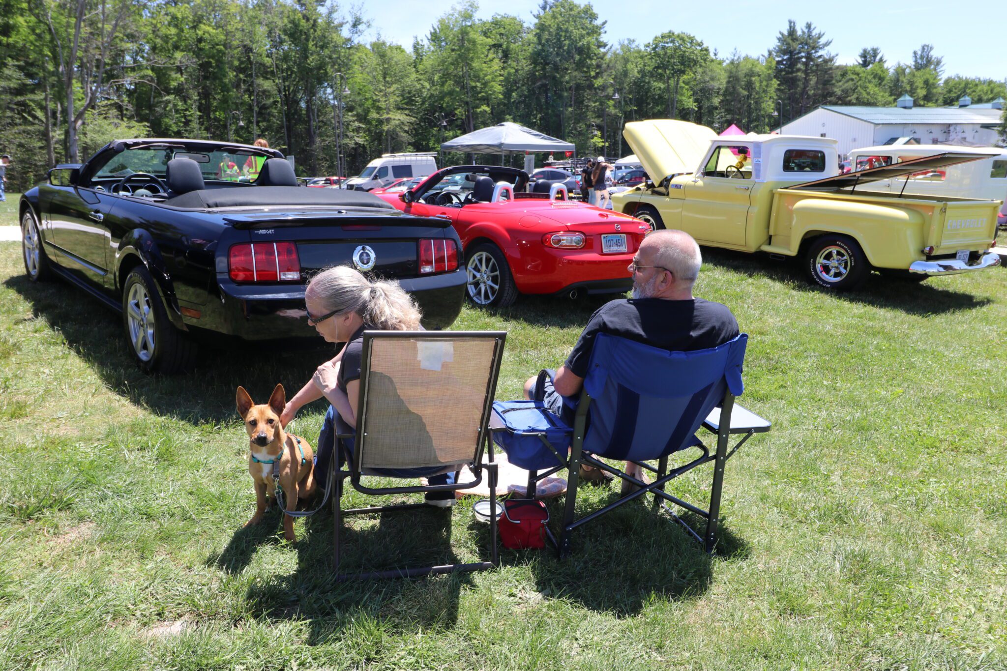 Gallery: Pups & Pints Car Show - June 16, 2024