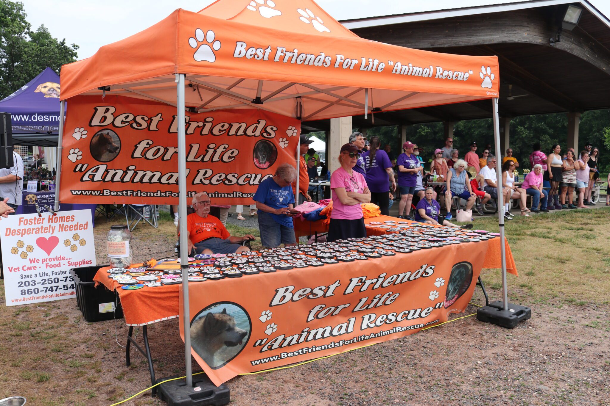 Gallery: Cars 4 Paws Car Show - June 23, 2024