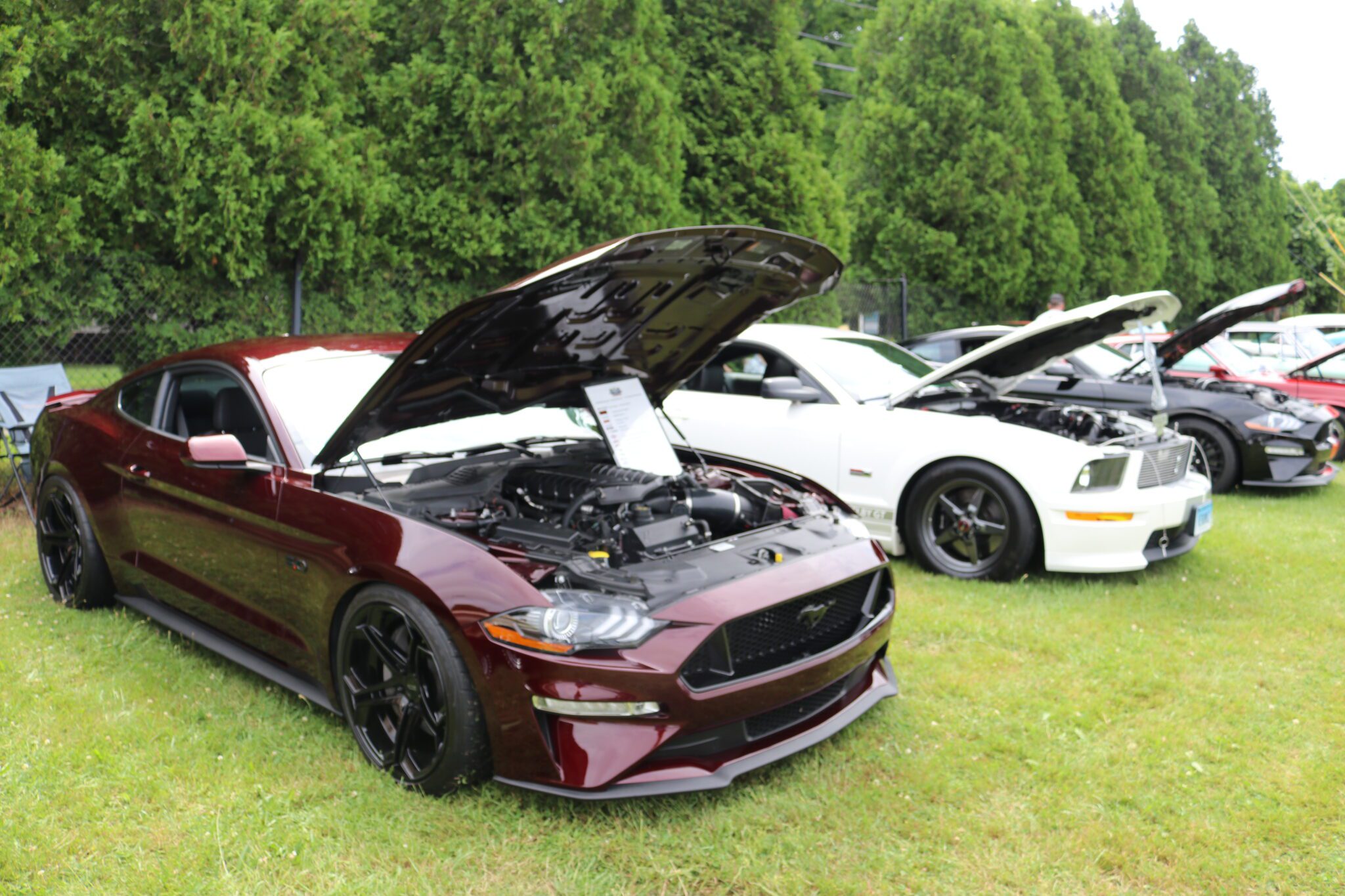 Gallery: Summer Knights Car Club Show - June 23, 2024