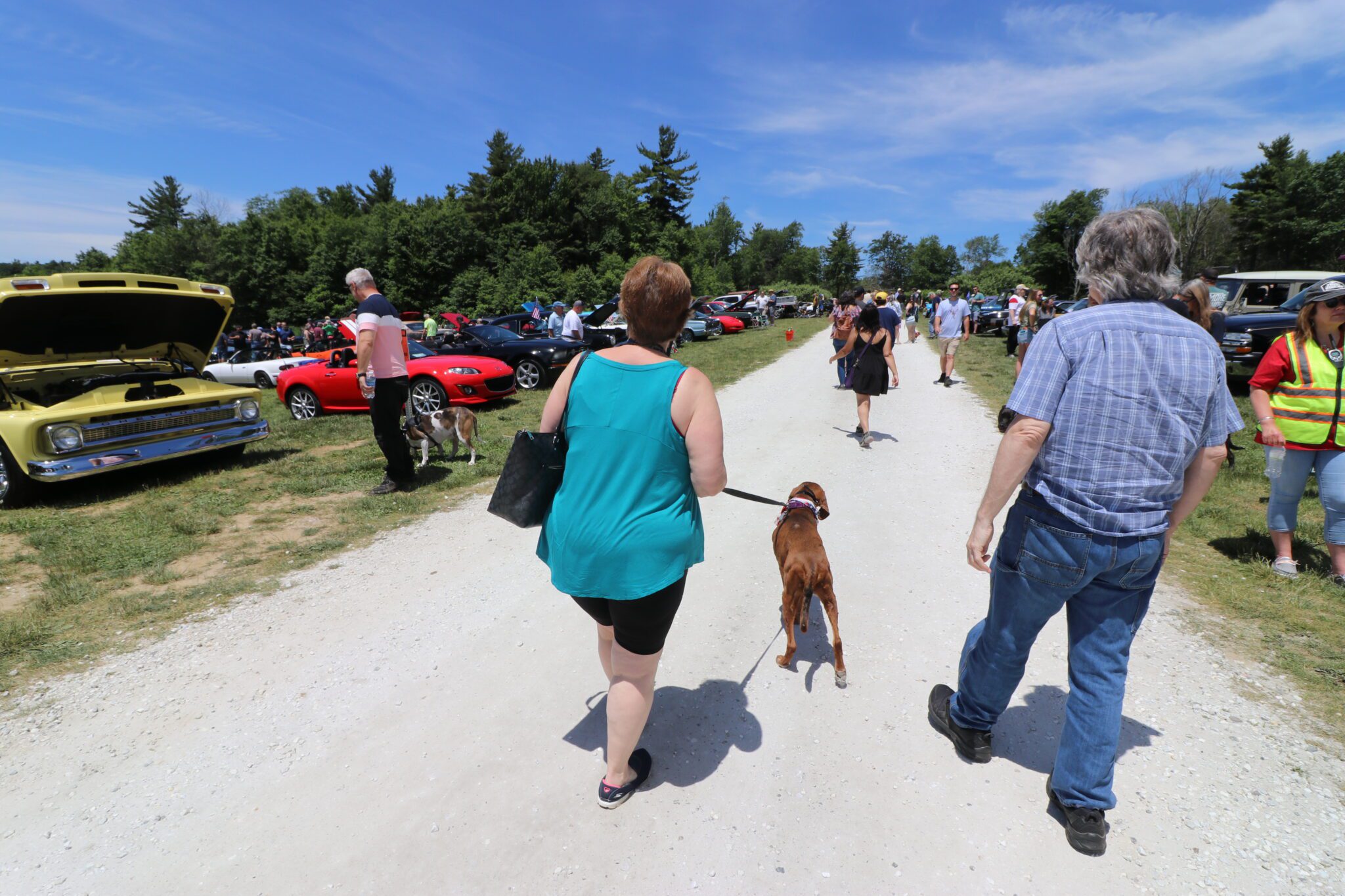 Gallery: Pups & Pints Car Show - June 16, 2024